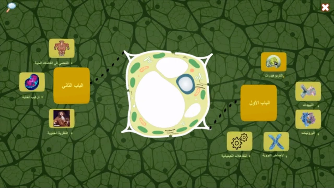 Biology interactive - YouTube