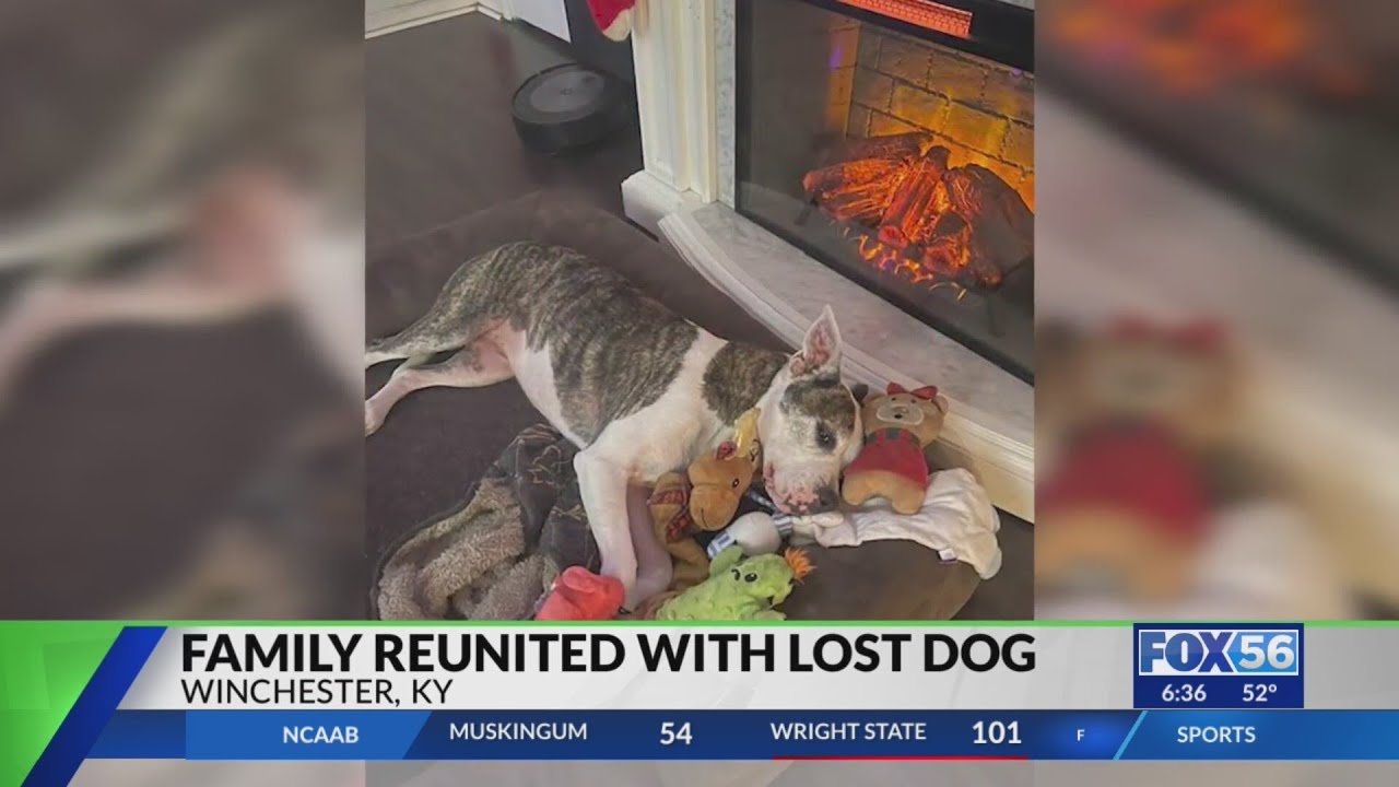 'Can't believe she's here': Winchester family gets Christmas miracle as ...