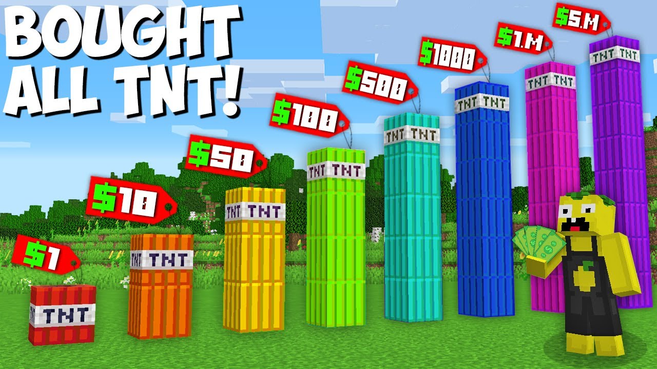 What if YOU BUY ALL SIZES OF RAREST TNT in Minecraft ? TINY TNT VS ...