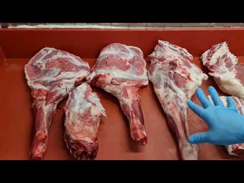 KURBANLIK KOYUN KUZU KOÇ NASIL PARÇALANIR ?