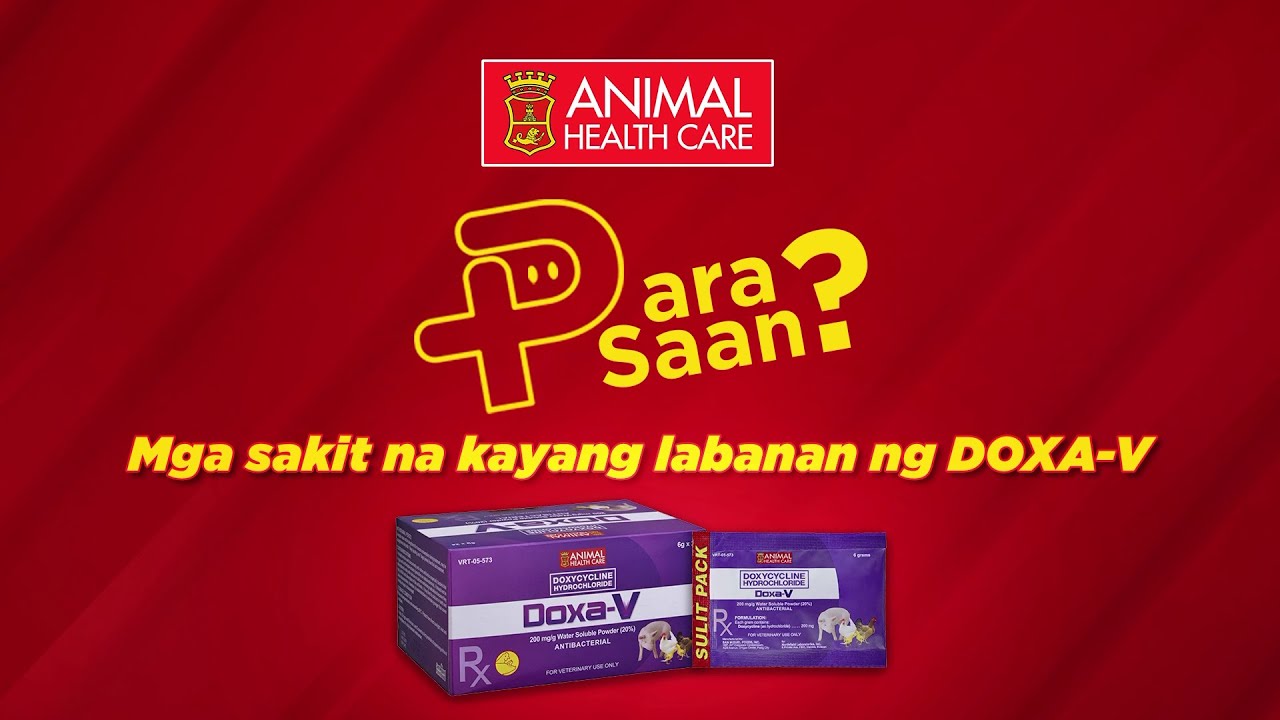 PARA SAAN: DOXA-V - YouTube