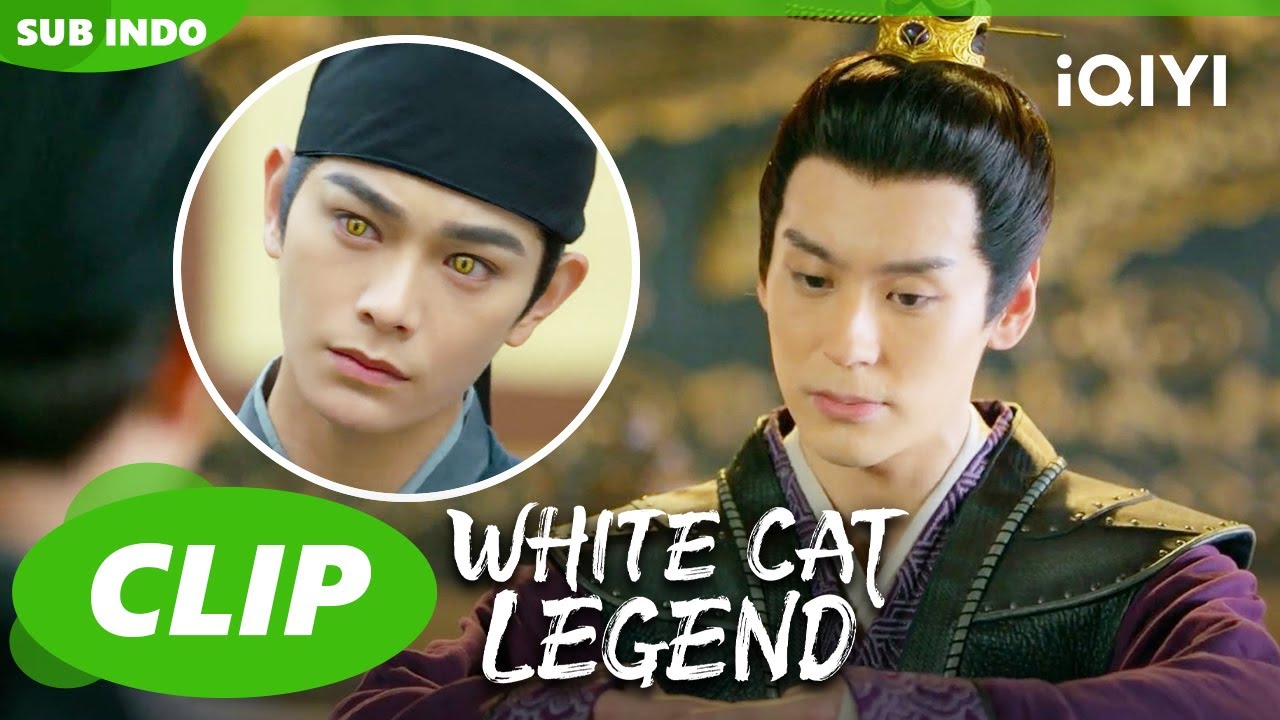 🥰Ding Yuxi Bertemu Wei Zheming | White Cat Legend | CLIP | iQIYI Indonesia - YouTube