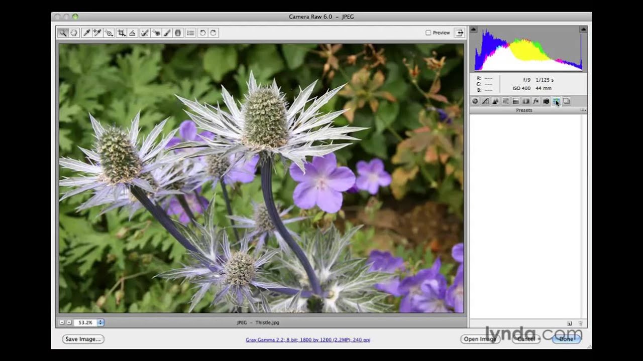 Photoshop CS5 Tutorials-6 Camera Raw Essentials 4.Preview - YouTube