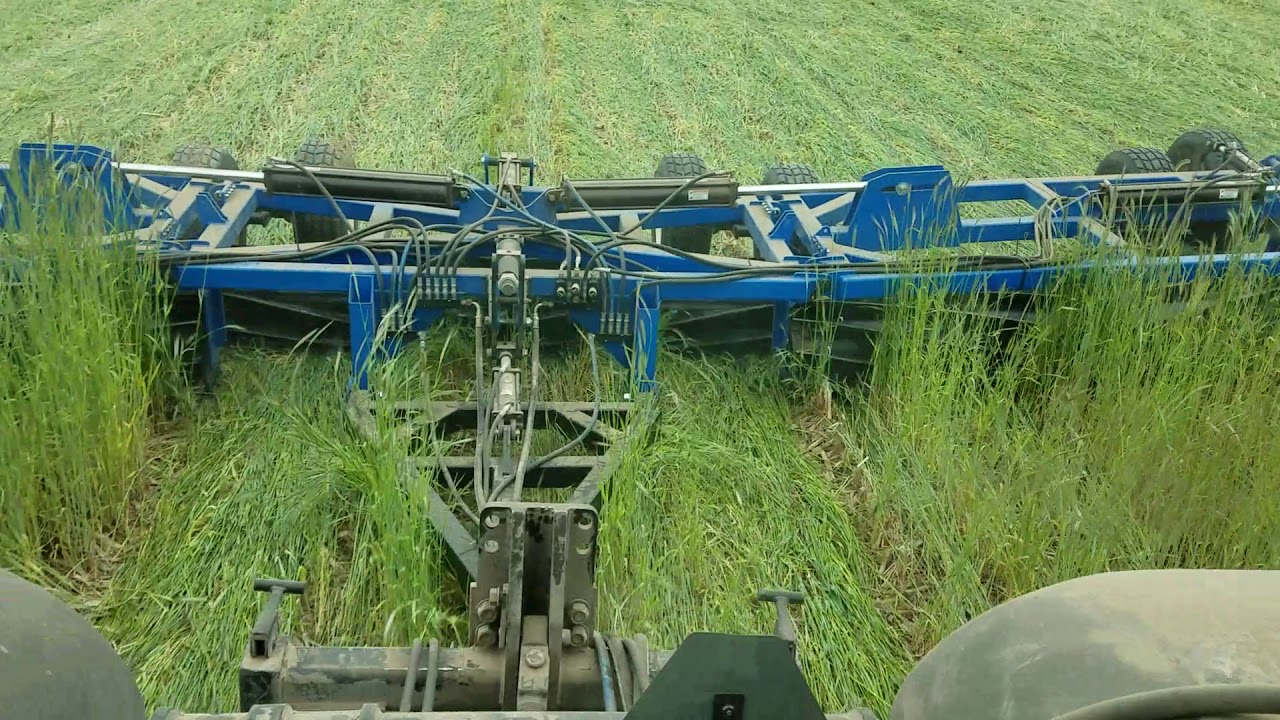 42' 5 section roller crimper test in cereal rye - YouTube