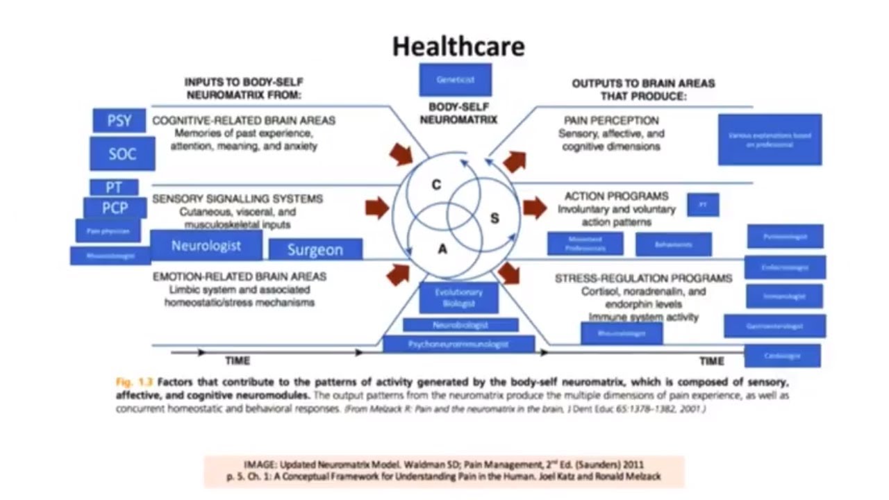 The Patient's Story - The Science Behind The Story - YouTube