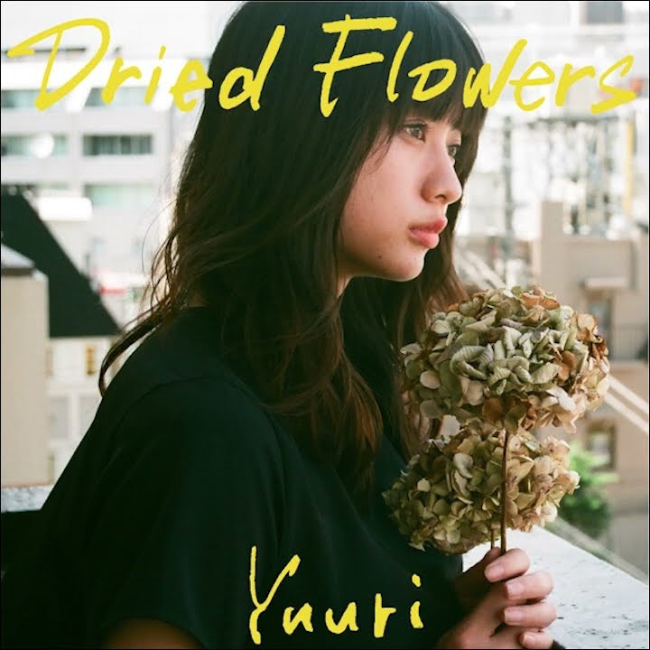 Dried Flower (Yuuri) COVER / 하얀 - YouTube