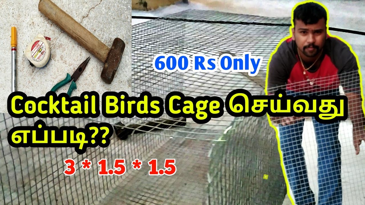 Cocktail Birds Cage செய்வது எப்படி?? - YouTube