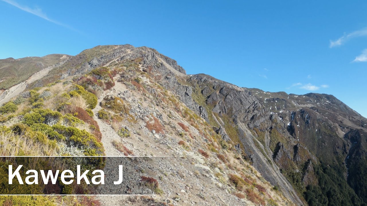 KawekaJ, Kaweka Forest Park, New Zealand | 4K - YouTube