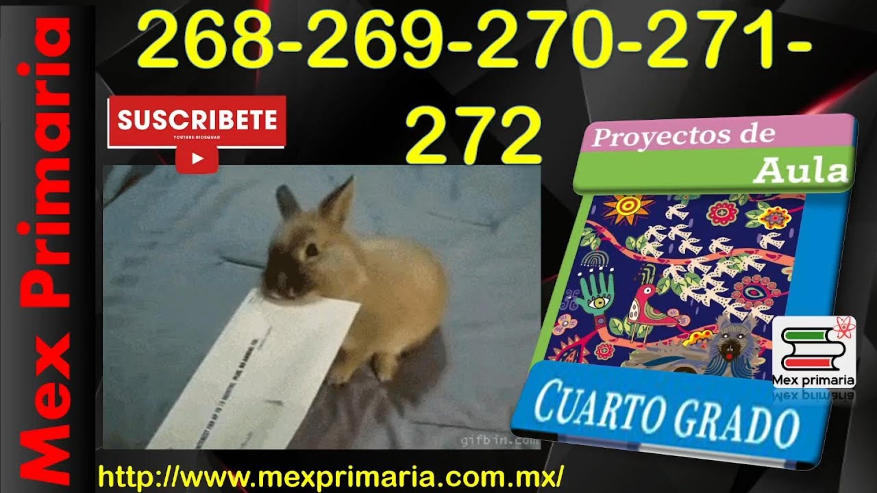 Proyecto de Aula 4, pag, 268,269,270,271,272, Como es tu familia, Mi ...