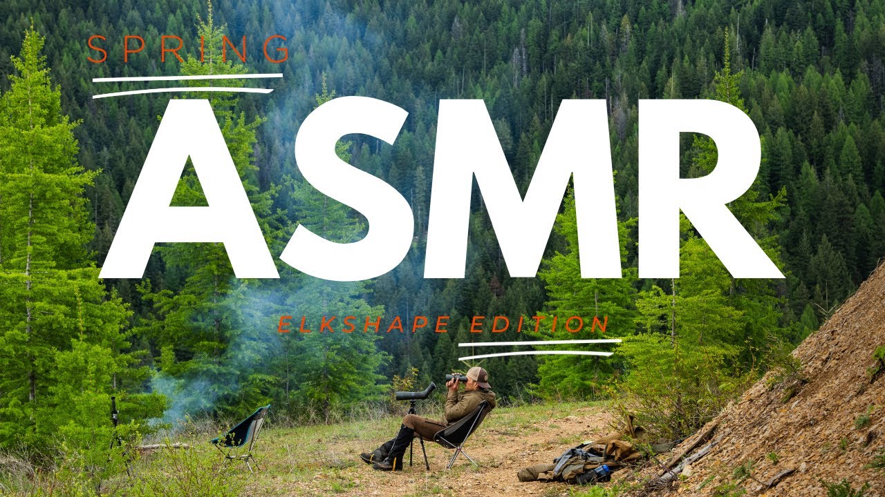 ASMR... (Public Land Hustle Edition Turkey / Bear) - YouTube