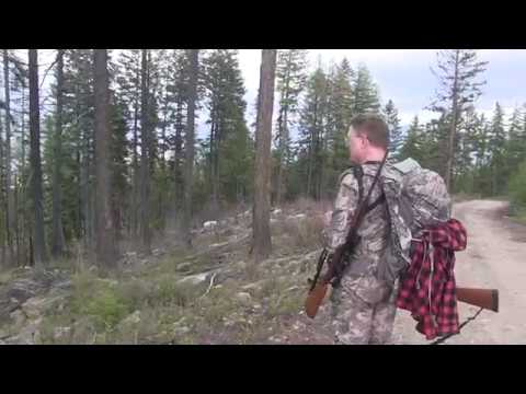 Cougar Encounter - Spring Bear Hunt
