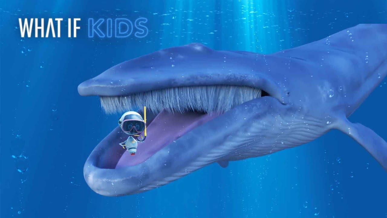 What If You Could Go Inside a Whale? - YouTube