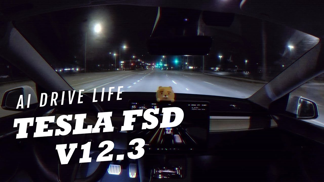 V12.3 | TESLA | FSD(Full Self-Driving) | First-time driving(Night ...