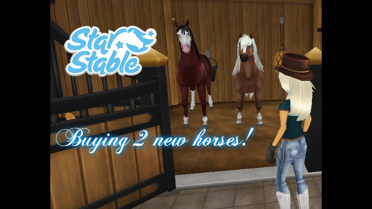SSO - Buying 2 new horses! - YouTube