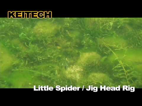 Little Spider / Jig Head - YouTube