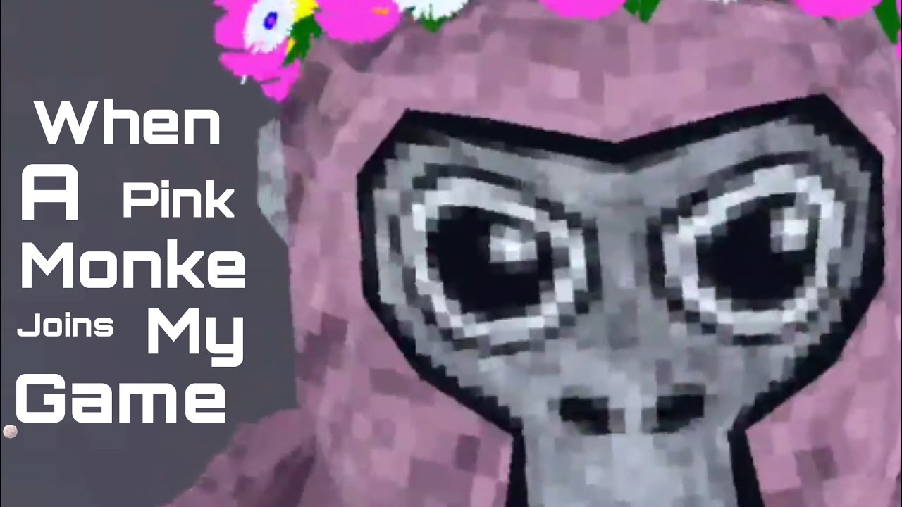 When A Pink Monke Joins My Game. - YouTube