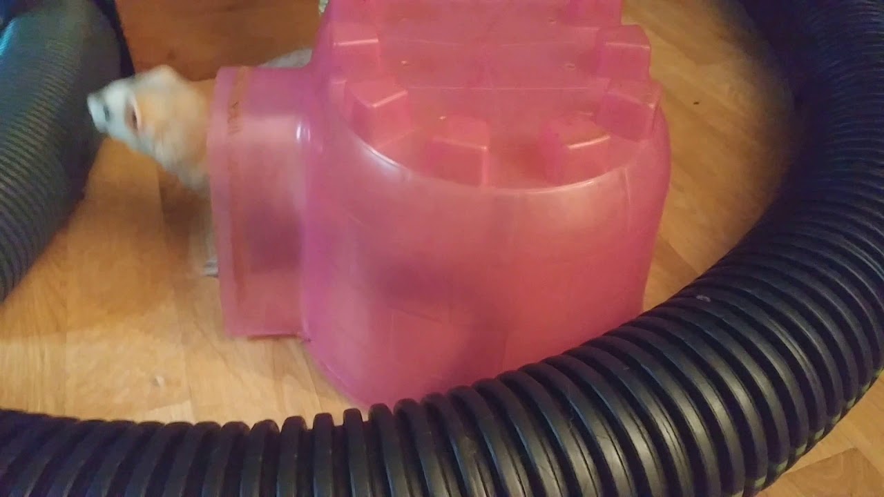 Wound Up Weasel! - YouTube