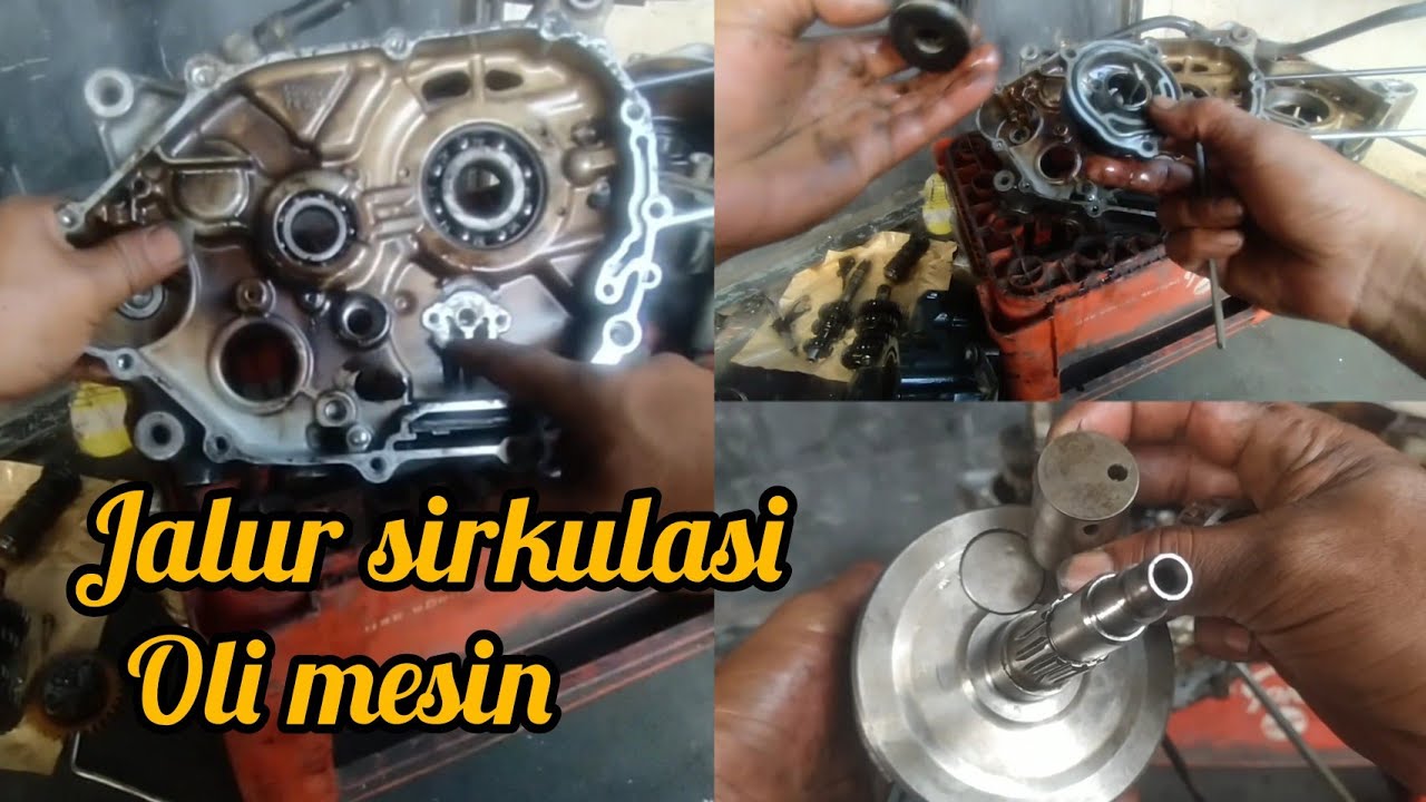 Cek jalur sirkulasi oli Vega zr - YouTube