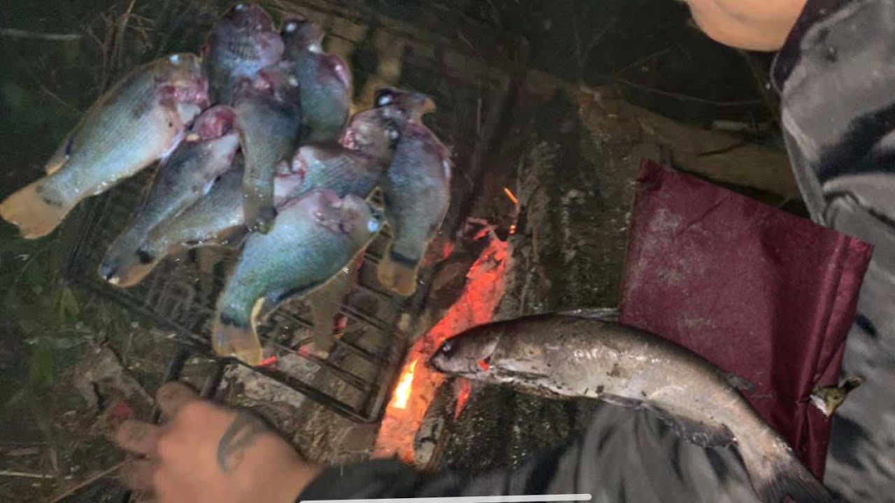 "Eating our bate/catch and cook. - YouTube