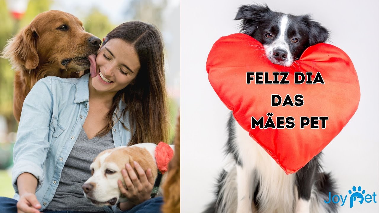 MÃES DE PET FELIZ DIA DAS MÃES PET 🐕🐕‍🦺🐾 - YouTube