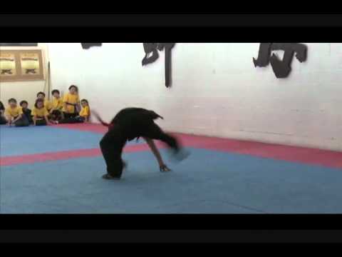 Master Yan Hong - YouTube