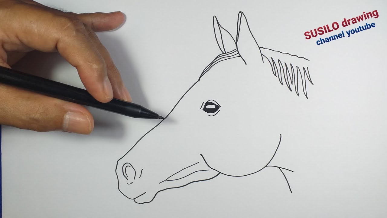 Cara Mengambar KUDA Buat Pemula || How to Draw Horse For beginner👍🏻👍🏻👍🏻 ...