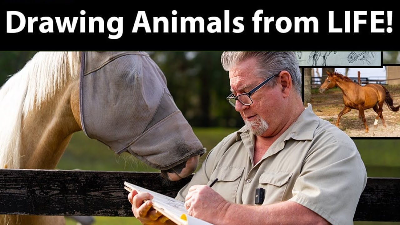 Drawing Animals From Life Sneak Peek - Drawing Horses On Location - YouTube