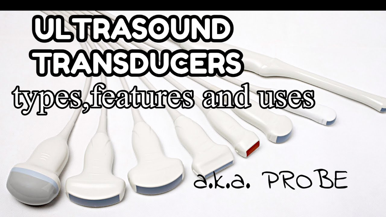 Ultrasound Transducer Types Features And Uses Ultrasound Probe