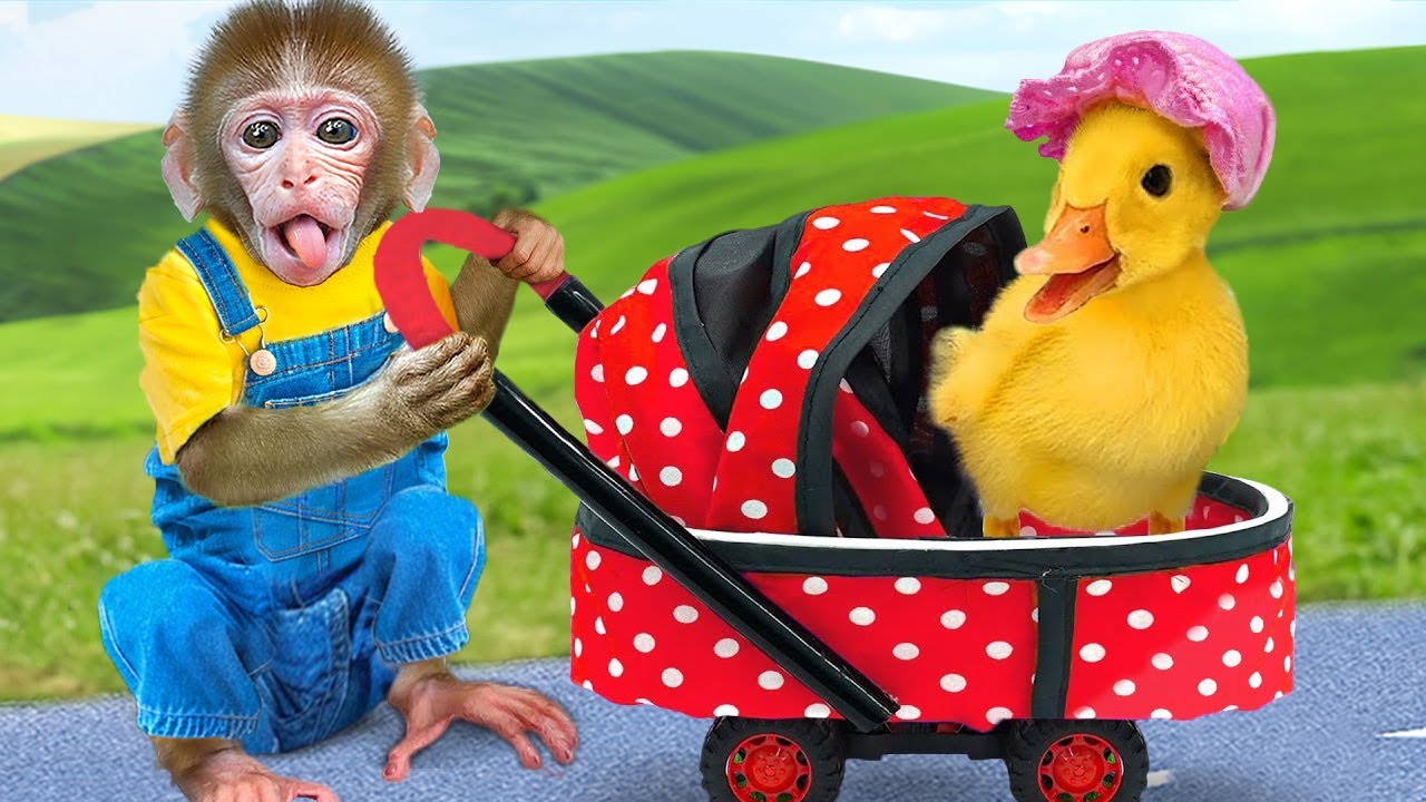 Monkey BuBu Makes Cutest Jelly Bottle and Goes Swimming with Duckling ...