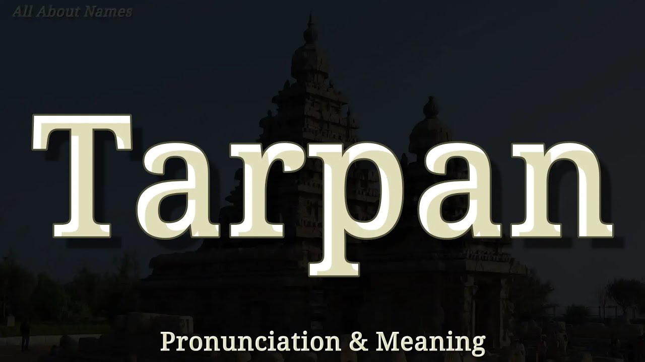 Tarpan - Pronunciation and Meaning - YouTube