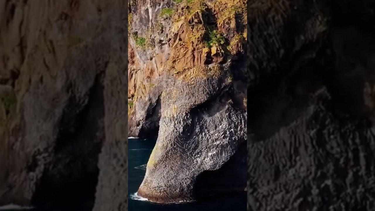 IF ZUNESHA FROM ONEPIECE IS REAL😱😱😱😱 | #shorts - YouTube