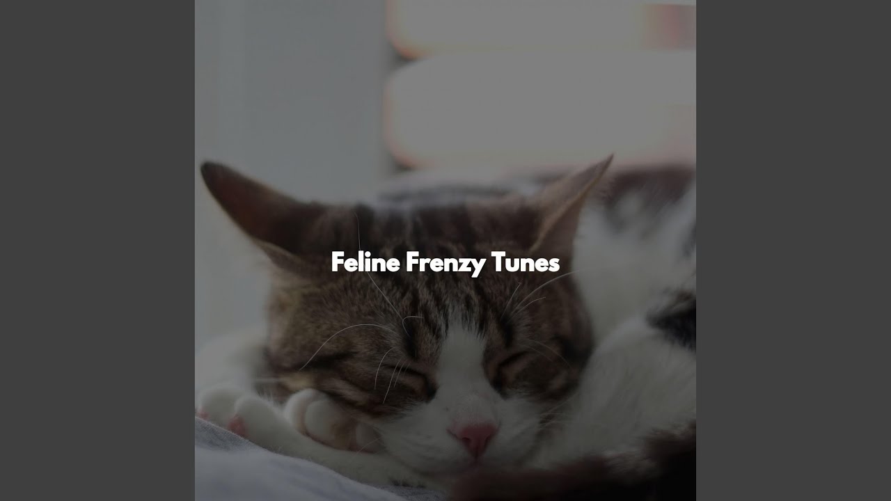 Friendly Backdrops for Office Moments - YouTube