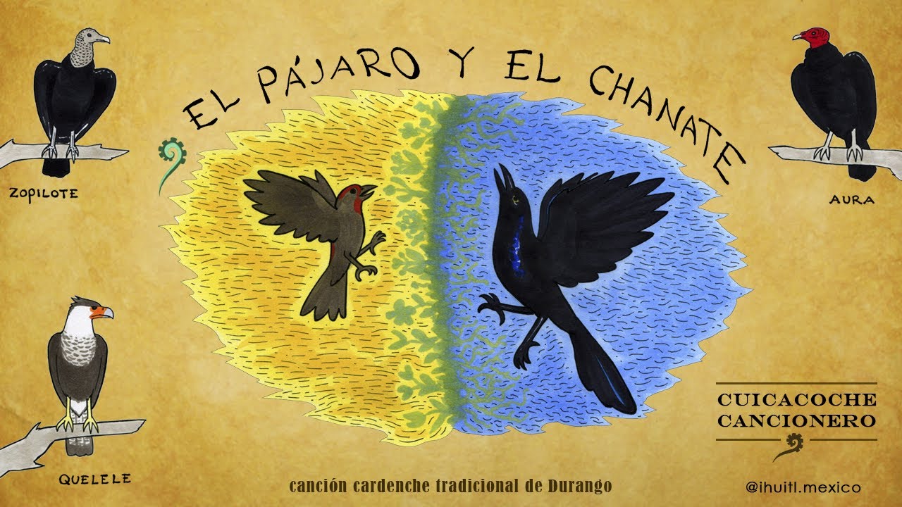 Cuicacoche Cancionero: "El Pájaro y el Chanate" - YouTube