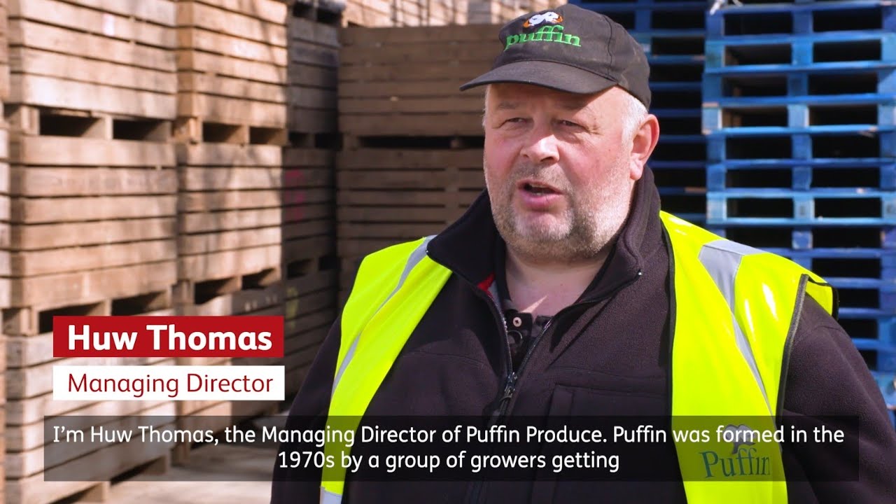 Puffin Produce - YouTube