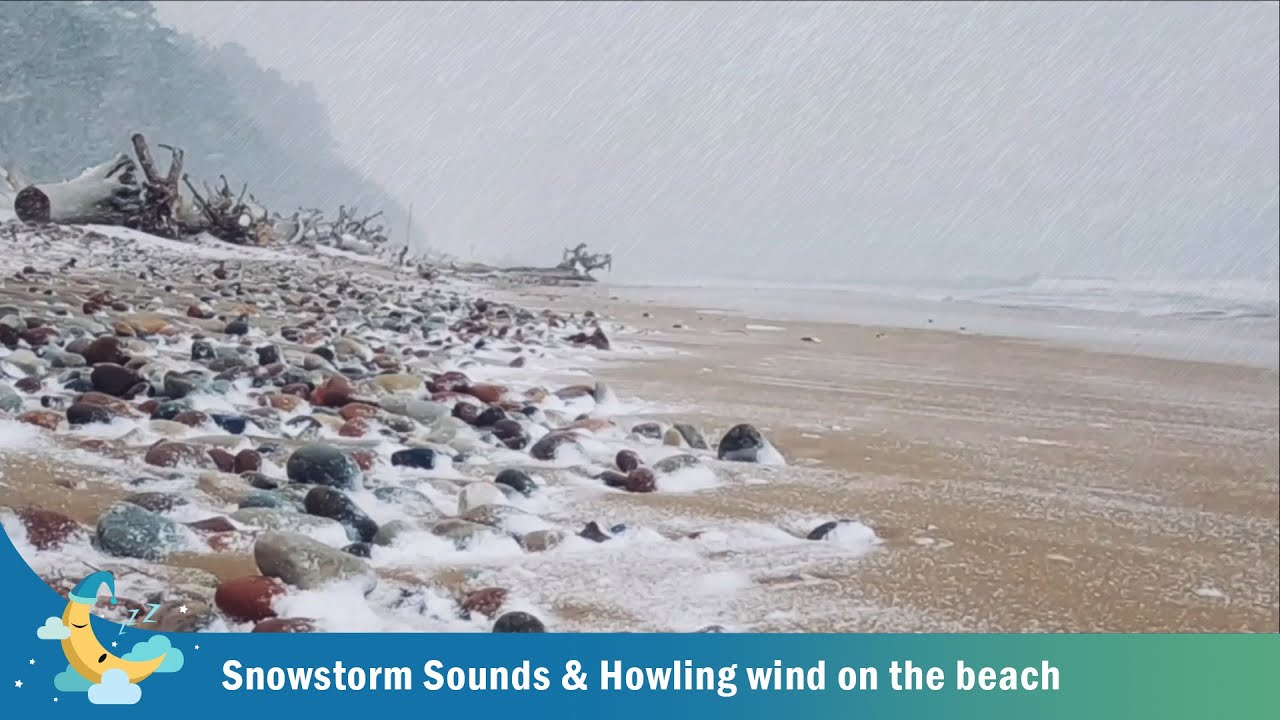 Snowstorm Sounds & Howling wind on the beach, Heavy Wind & Snow ...