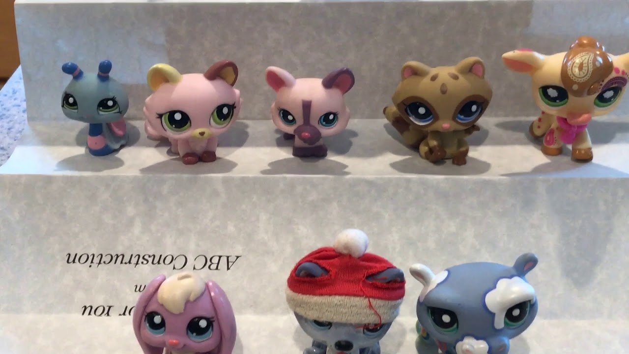 LPS: First Day of Gym Class - YouTube