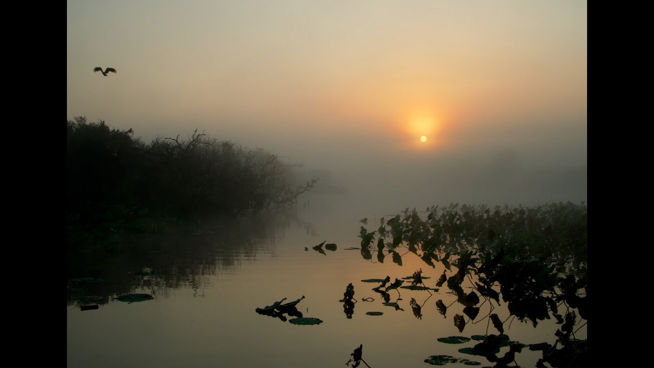Kakadu Birding Tour - YouTube