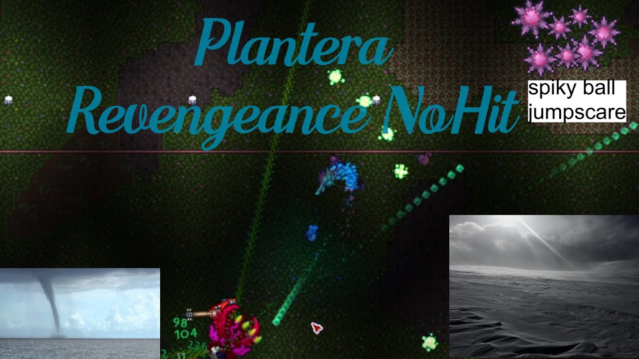 Calamity - Plantera Revengeance NoHit as Ranger - YouTube