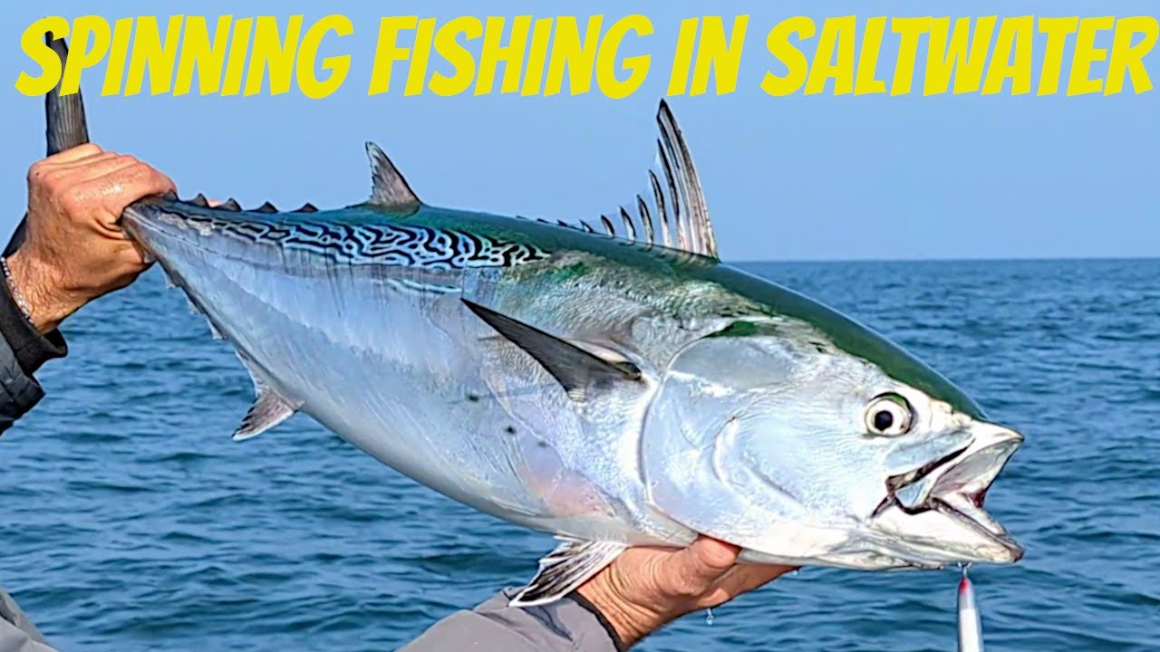 Pescare in mare dalla barca - Pesca a spinning nel mare Adriatico - YouTube