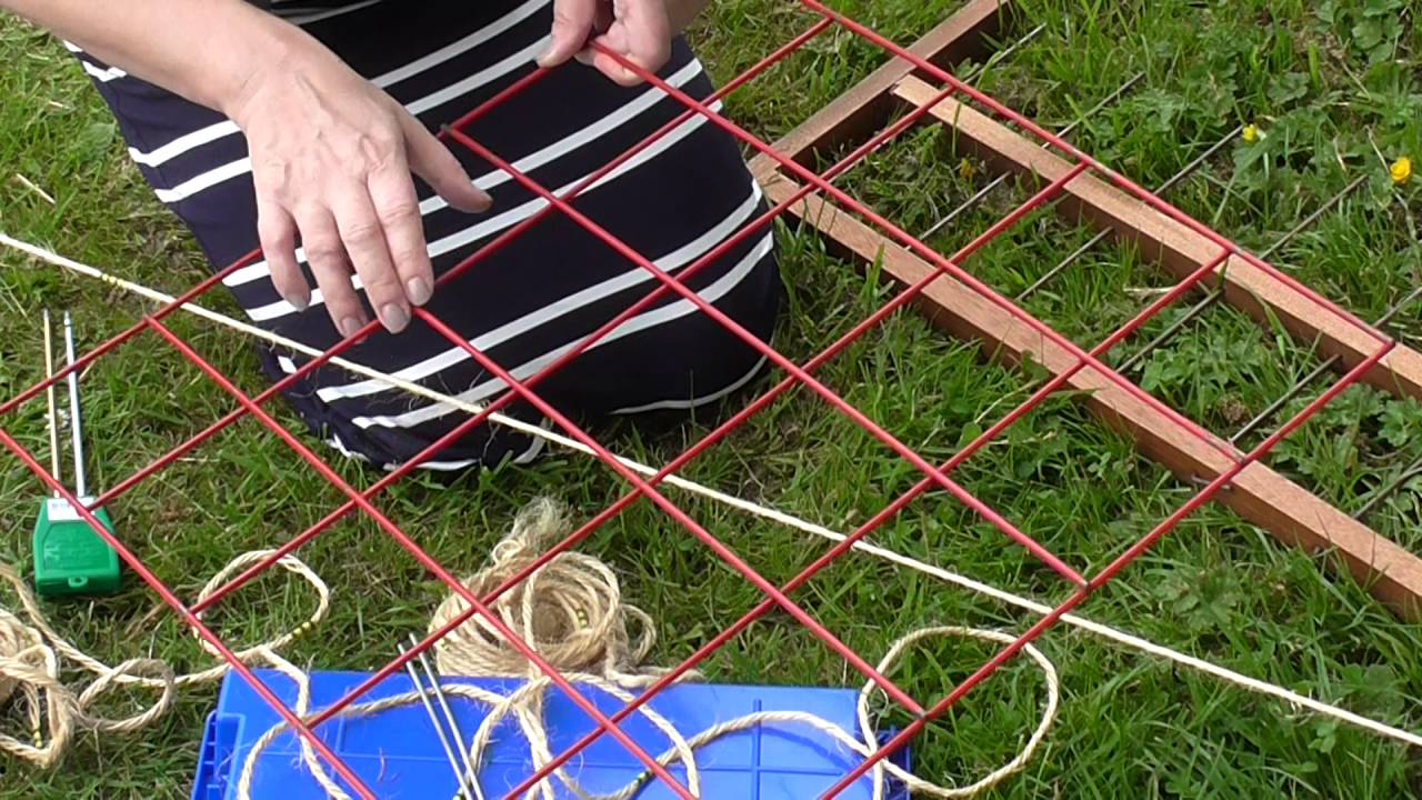 Transect, Quadrats and Percentage Cover to investigate the Distribution ...