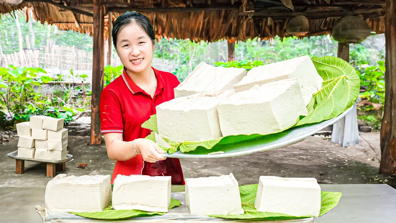 How To Make Handmade Tofu and Take The Tofu Go To Market Sell | Build ...