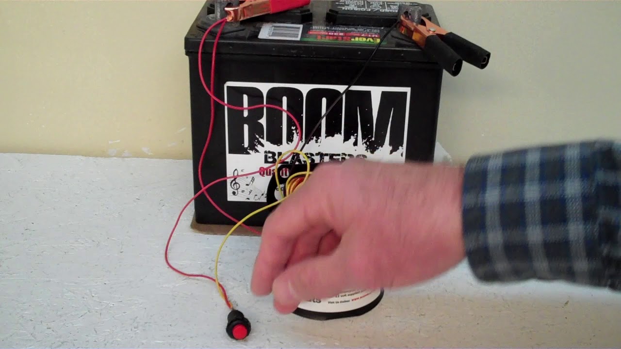 Goose Sounds Car Horn - YouTube