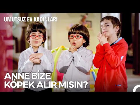 Mahallenin Haylazları #39: Çocukların Evcil Hayvan İsteği - Umutsuz Ev Kadınları