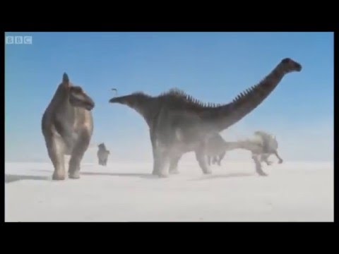 We Love Dinosaurs - Super Psycho Love - YouTube