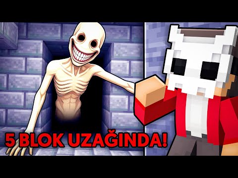 Temu'dan Aldığım Verity Modu (!) | Minecraft
