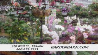 Garden Barn Rain