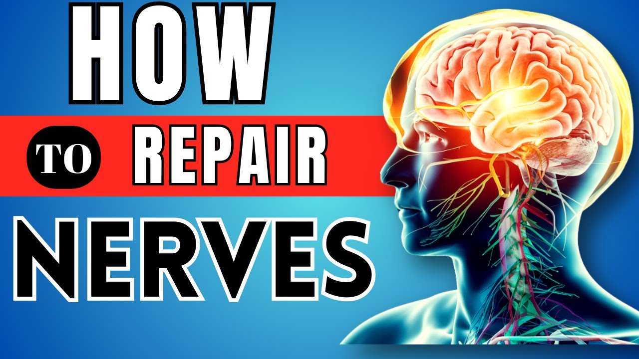 Transform Your Health: Discover the Power of 10 Nerve-Healing Foods ...