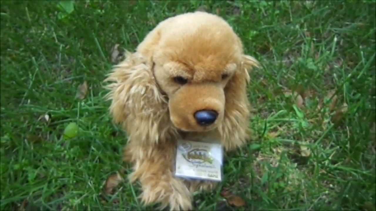 Last Webkinz To Complete The Signature Collection! - YouTube