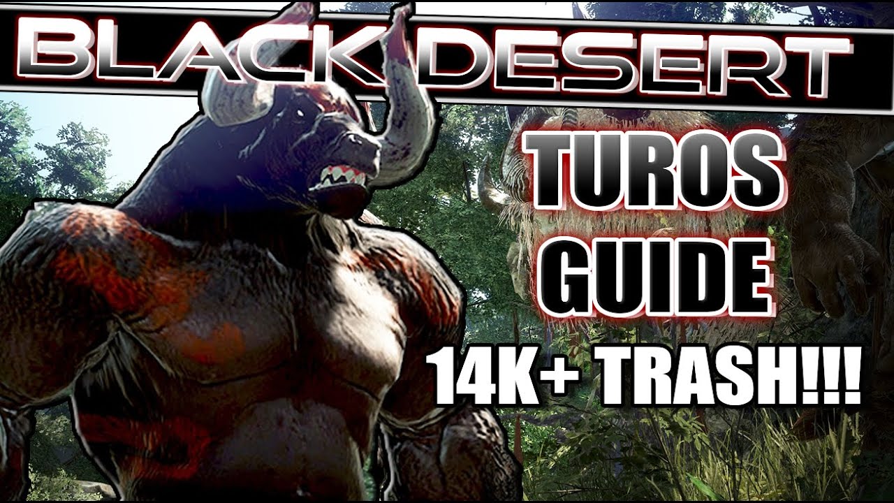 BEST TUROS ROTATION!! 14k+ | Black Desert - YouTube