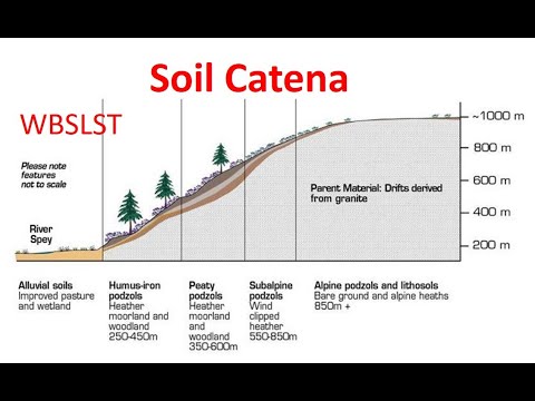 Soil Catena - YouTube